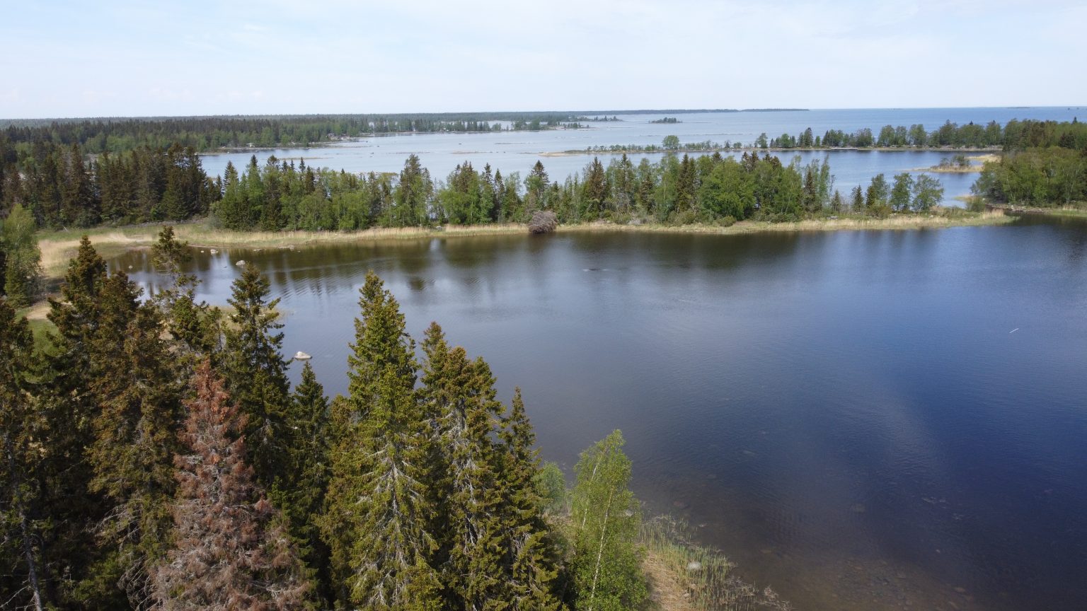 Info-Mustasaari-Korsholm.fi – Infoa Mustasaaresta – Information om Korsholm